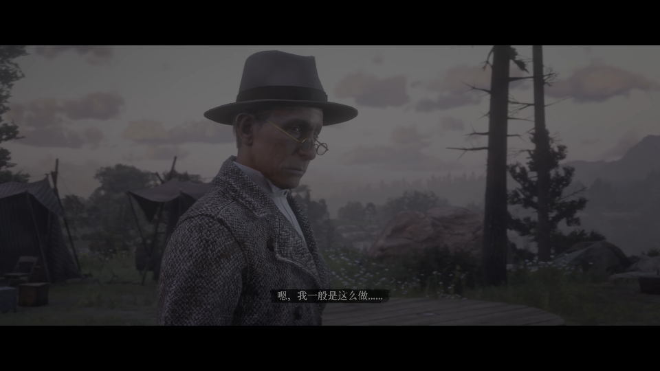 荒野大镖客2最高画质p20