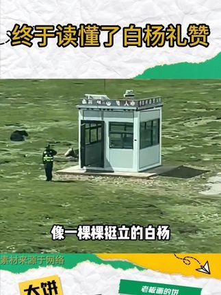 初中没有读懂的白杨礼赞,却在此刻完成了闭环 #青藏线 #护路员 #西藏 ...