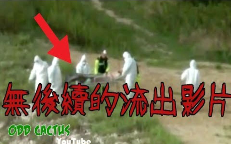 三个至今无法解释的离奇诡异事件丨奇怪的仙人掌