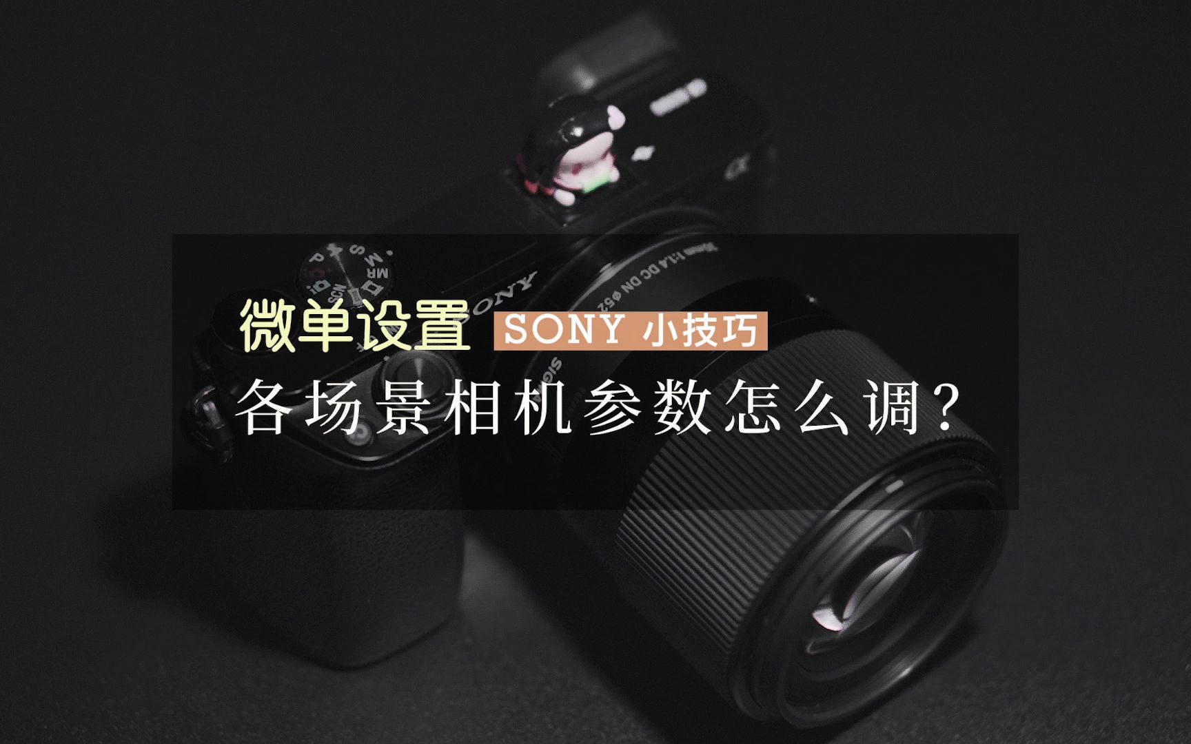 索尼A6000教程 | 各场景相机参数怎么调 ?新手基础入门须知!