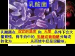 七年级_生物_人类对细菌和真菌的利用