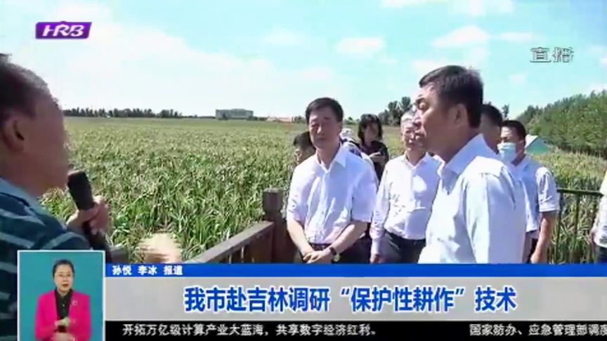 哈尔滨市领导赴吉林调研“梨树模式”,了解“保护性耕作”技术