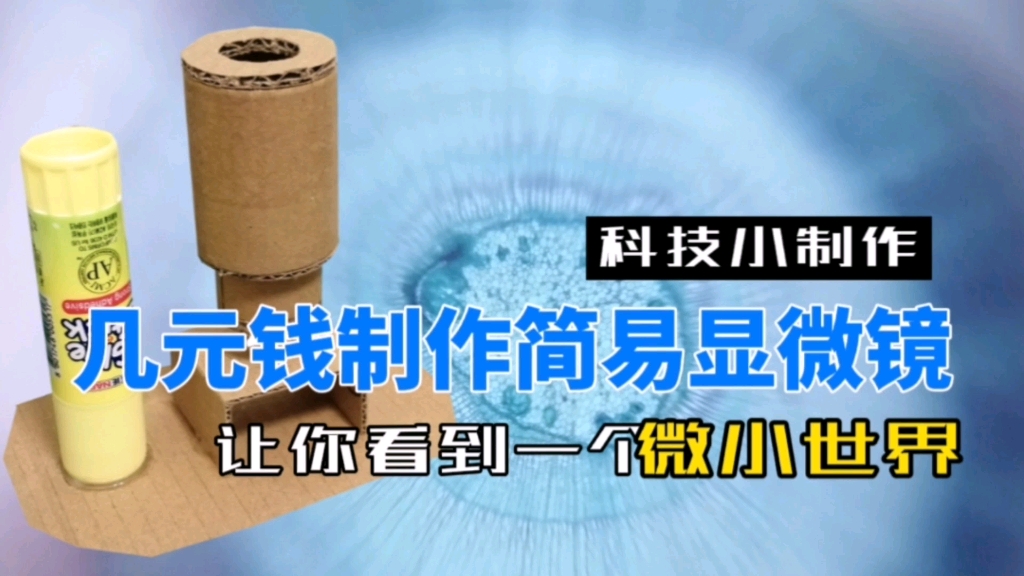 几元钱就能制作的显微镜，带你看微小世界