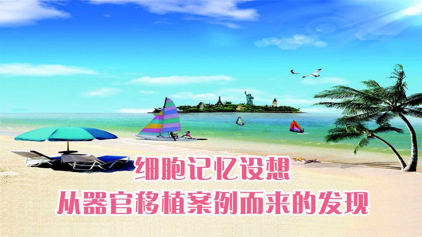 细胞记忆设想:从器官移植案例而来的发现
