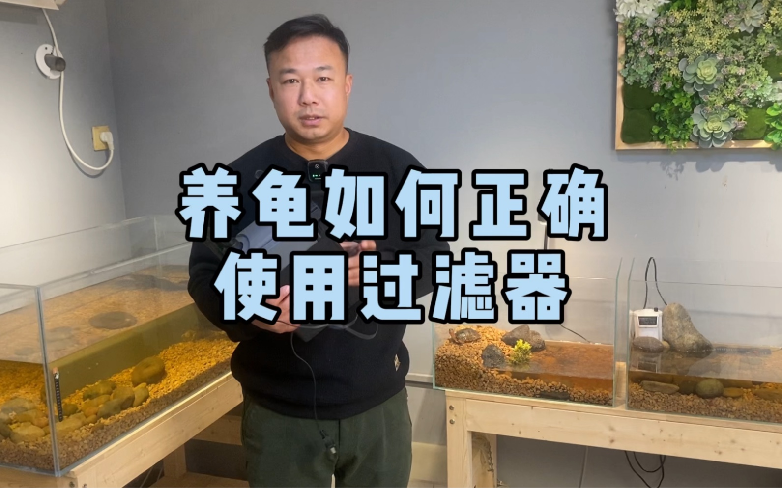 养龟如何正确使用过滤器?