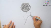 素描速成,简单的花朵绘画学习一下哦