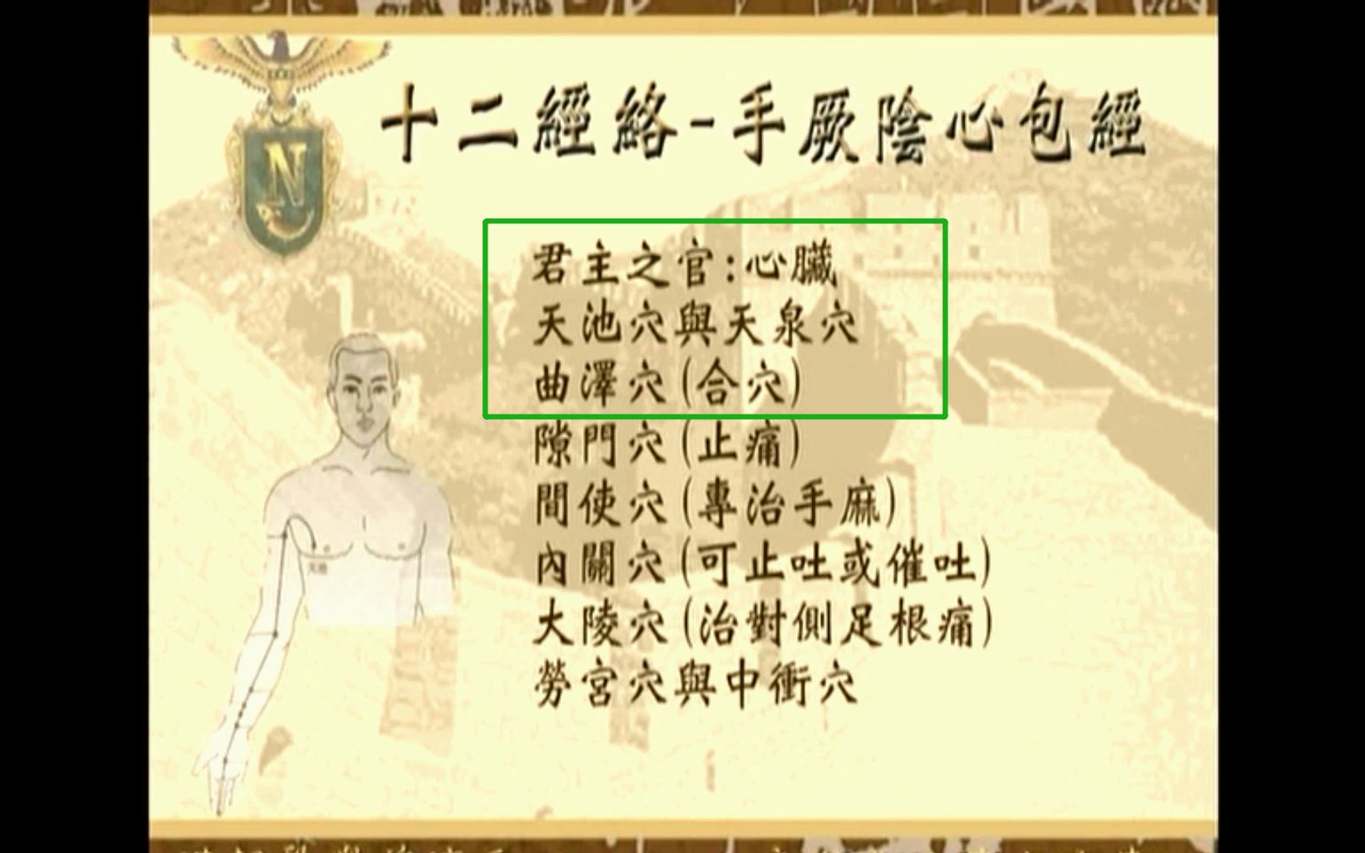 倪海厦人纪 针灸第四章 十二经络-手厥阴心包经(1)字幕版 怀孕初期 ...