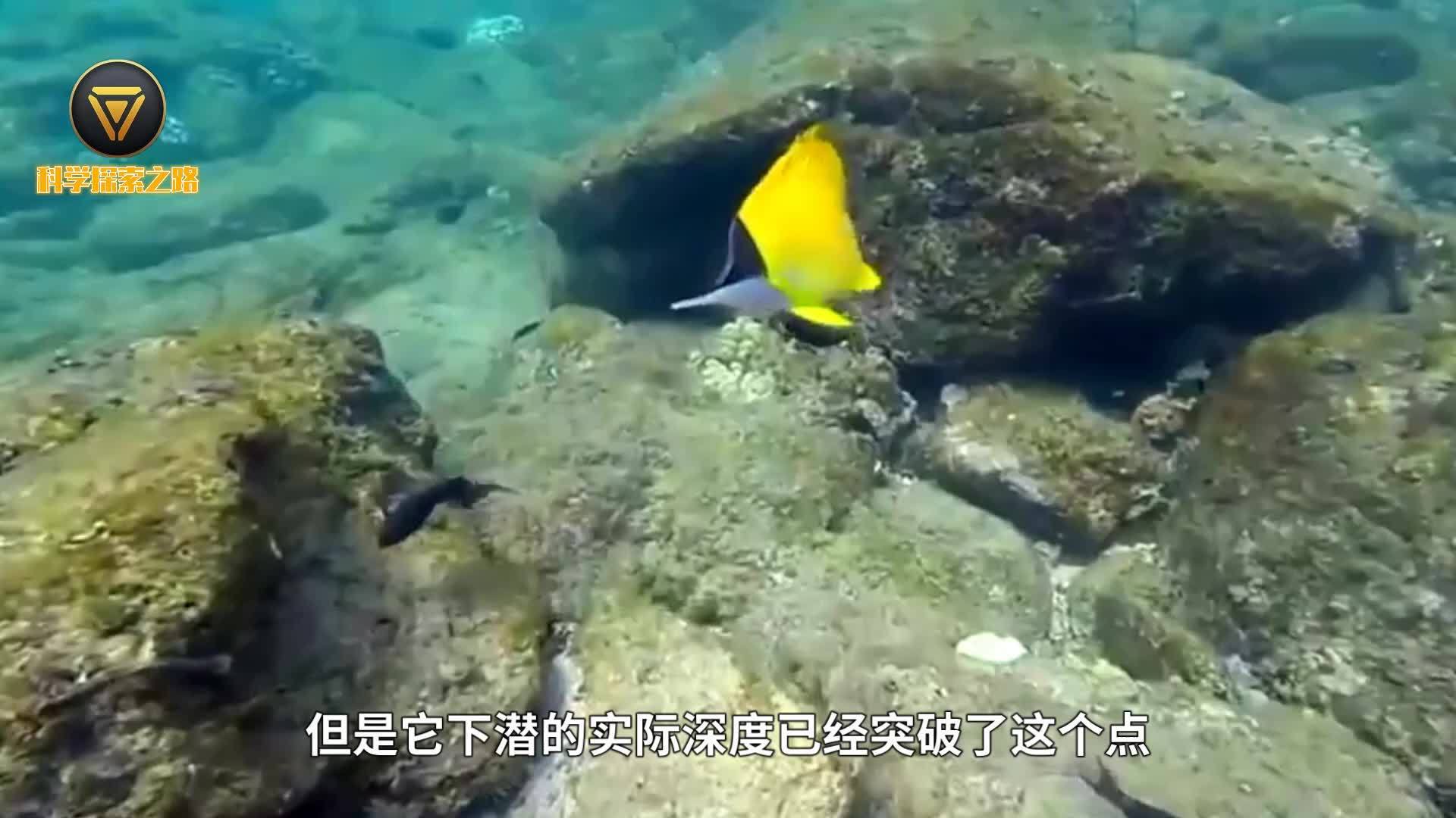 中国“蛟龙号”取得三大成就,可突破7千米深度,让日本人惊叹!