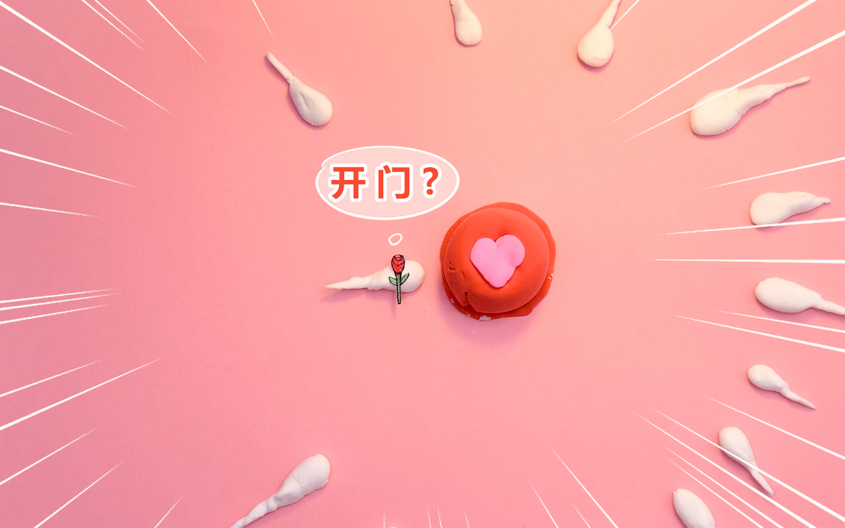 【定格动画】孩子是怎么来到这个世界的?(顺)