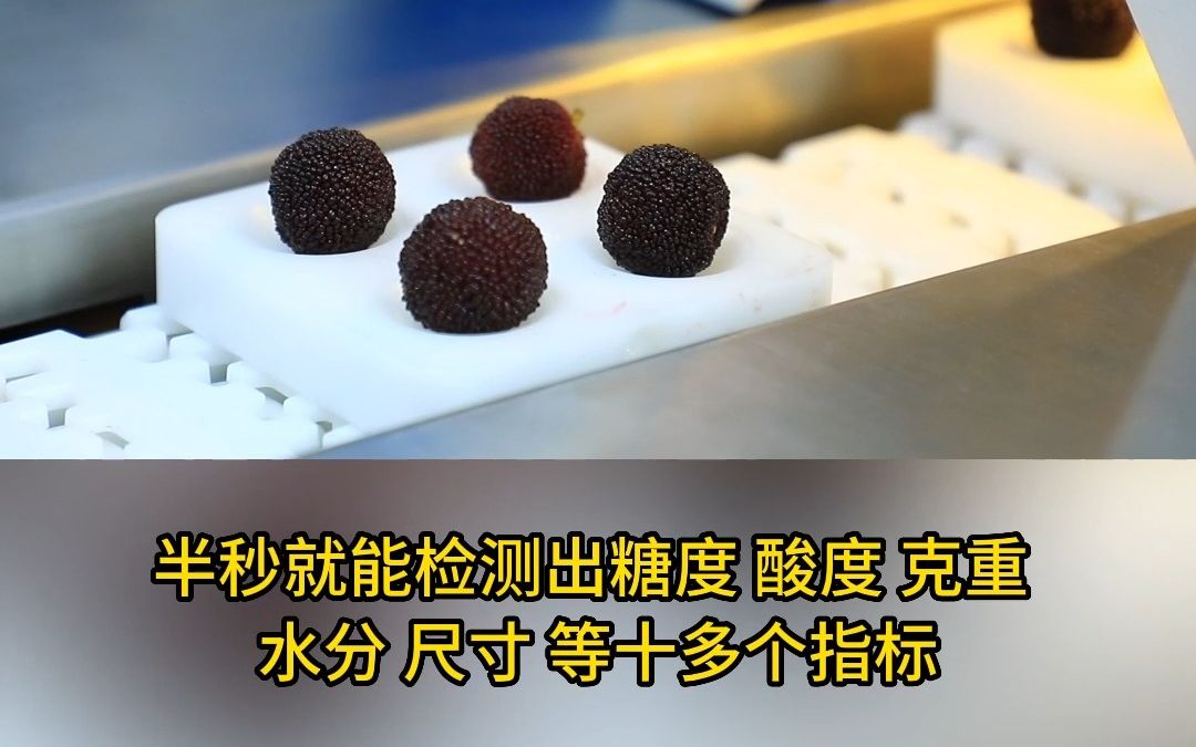 杨梅检测用上黑科技,半秒检测糖度、酸度、克重、水分…保证品质还...