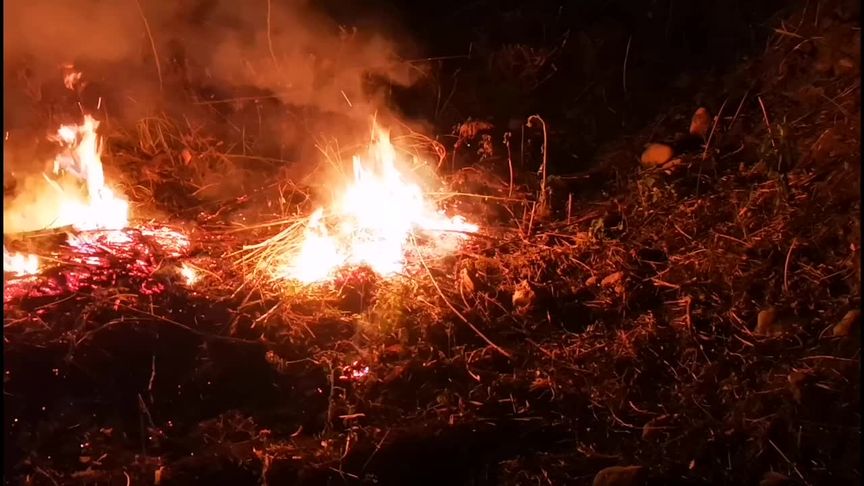 刀耕火种,原始社会的农业传承