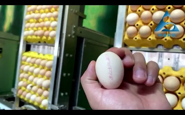 成都鸡蛋喷码机,高解析喷印日期、品牌logo打码机