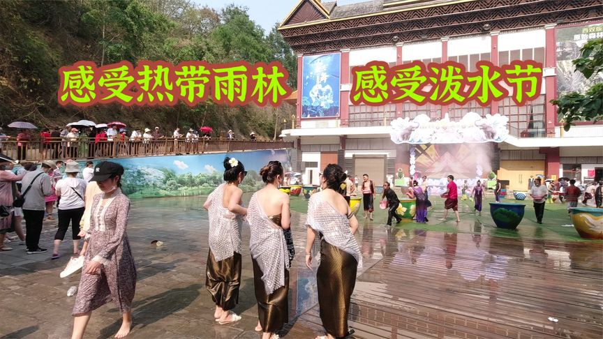 自驾游云南西双版纳原始森林,探秘原始森林,感受泼水节