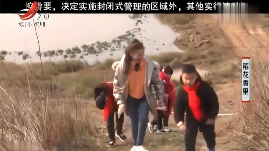 芡实在八月开花九月结果 成熟后和莲子有点类似 却有很多刺