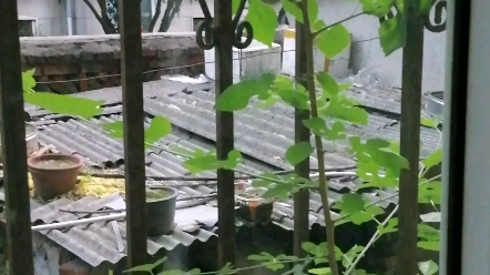 ...game平台要手机QQ扫码之前长期登电脑QQ说是什么因为密码修改等...