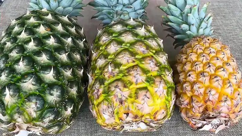 凤梨甜不甜,看一眼这里就知道,一拿一个准,老果农的方法真管用