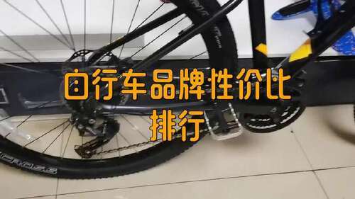 十大高性价比自行车品牌盘点,谁才是真正的平民王者?