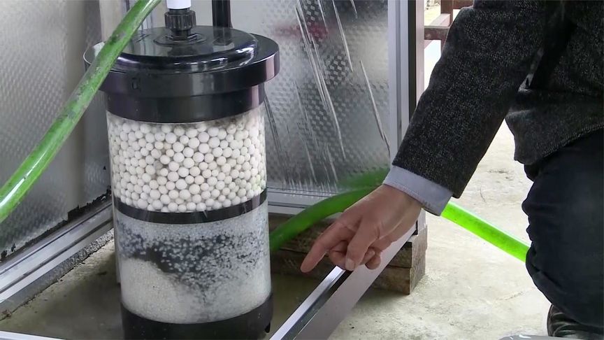 鱼长寿的“秘诀”!牛人发明鱼缸过滤处理机,养的鱼都能活8年