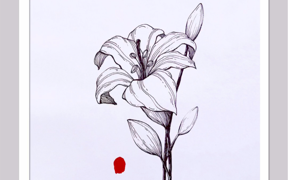 手把手教你画百合花,一学就会