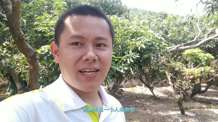 五一放假回家,去看我们的荔枝园,今年荔枝又大丰收了