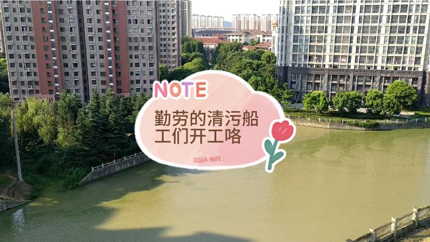 无锡滨湖区,每天早上太湖上都有清污船在工作~为太湖变更美加油