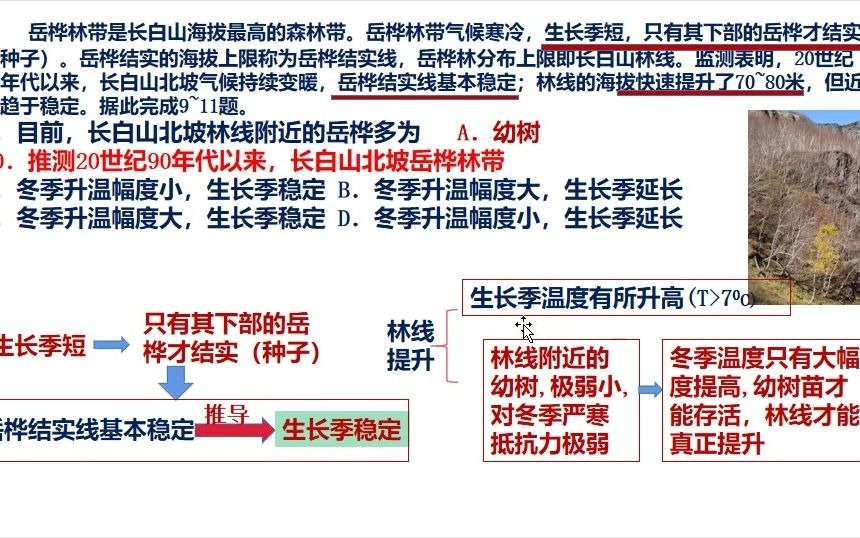 2020全国一卷岳桦林这组题的解析