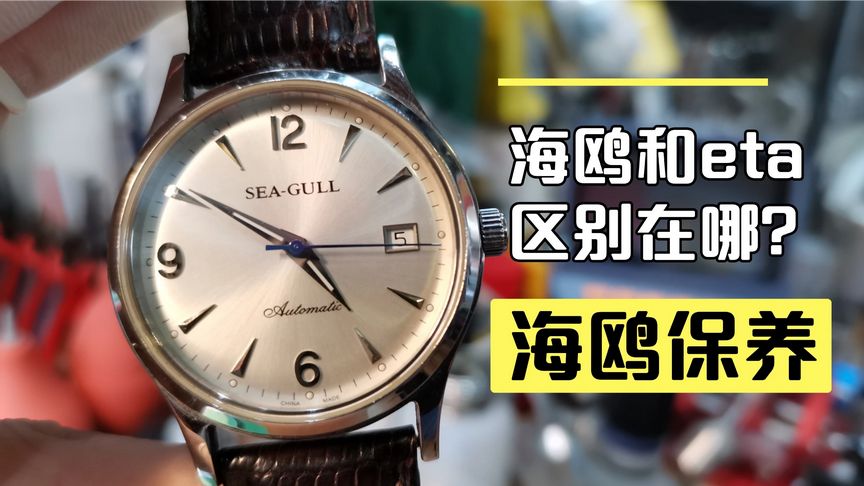 海鸥2892和eta2892有何不同？买那种机芯更适合？手表洗油保养