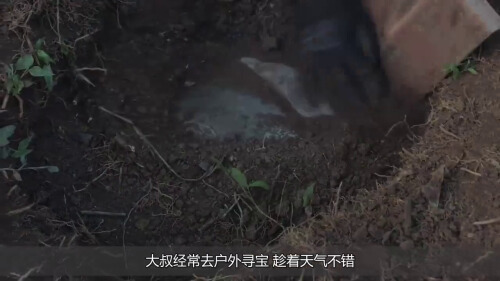 大叔森林寻宝挖出宝箱,价值一套别墅?打开后悔了!