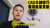 CAD大神技巧,教你用CAD把圆弧批量变成圆,对CAD编桩号大有帮助