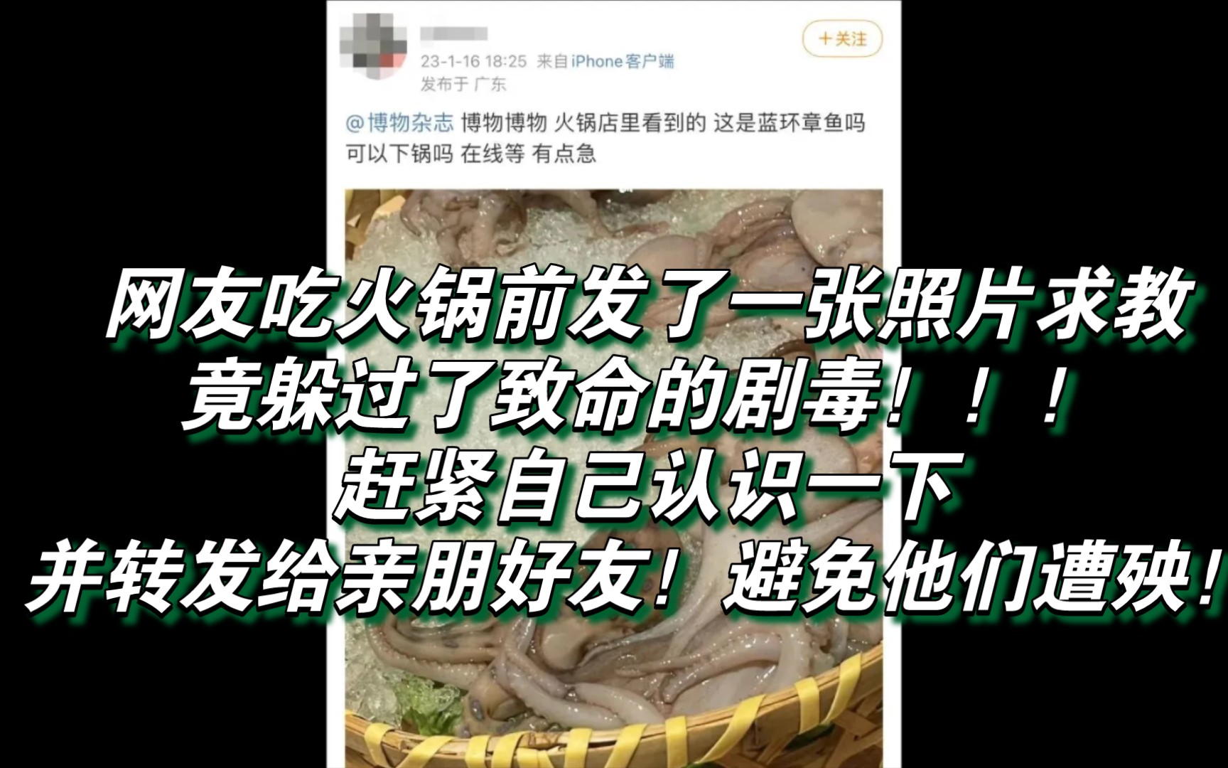 网友吃火锅前发了一张照片求教,竟躲过了致命的剧毒!赶紧自己认识...