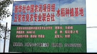 良农水稻联合社宣传片