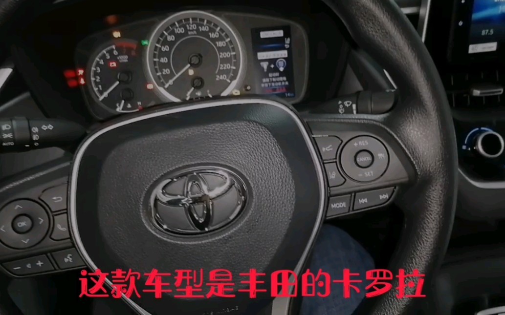 新款卡罗拉,这个设置看不懂,因为成本吗?