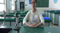 生物实验1 观察人血永久涂片