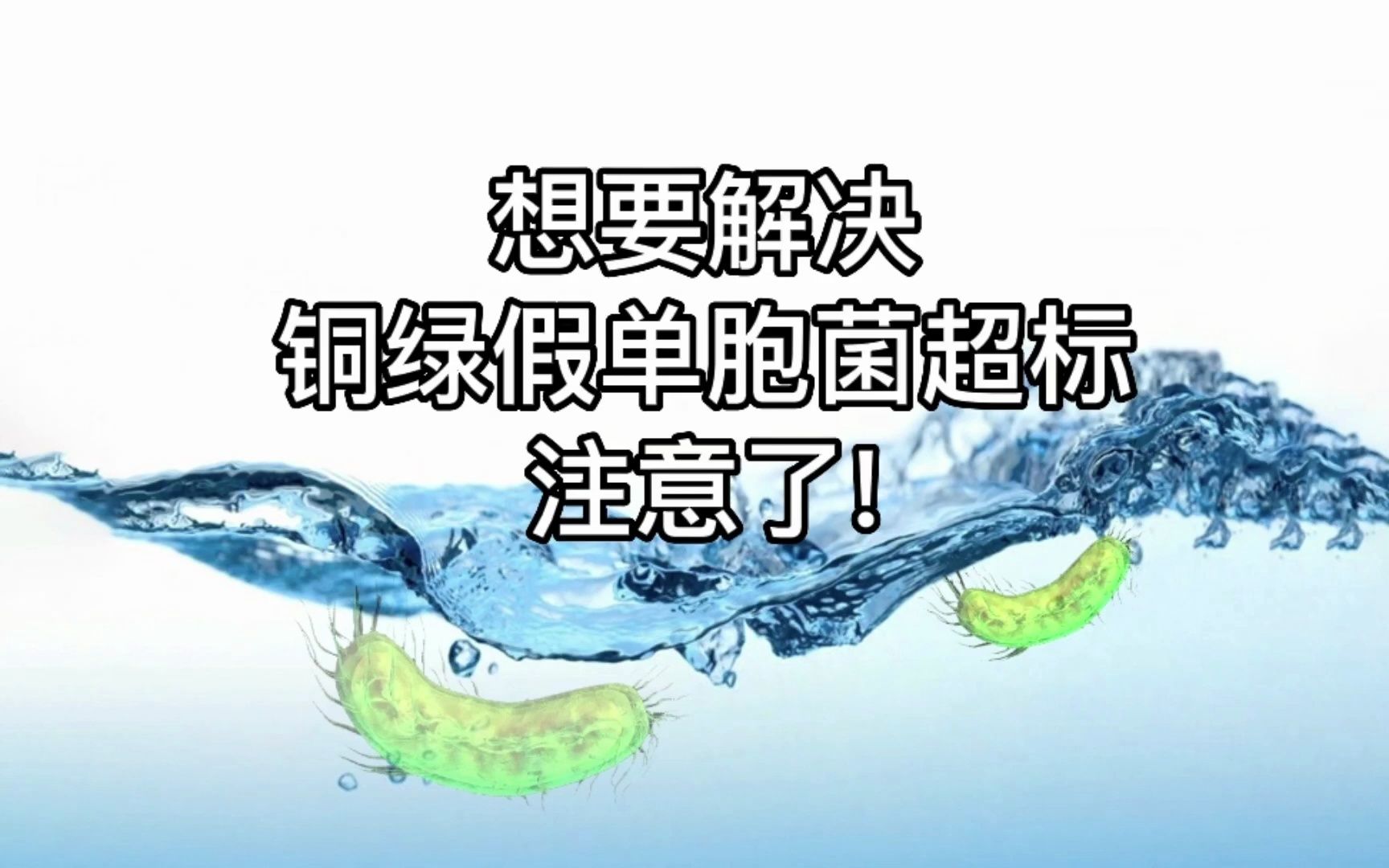 想要解决矿泉水纯净水生产系统铜绿假单胞菌超标问题的注意了?