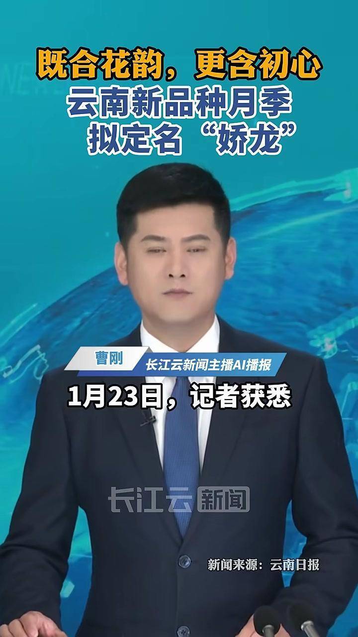 云南新品种月季拟定名"娇龙"