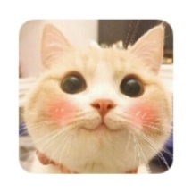 老王说金玉良言的事 