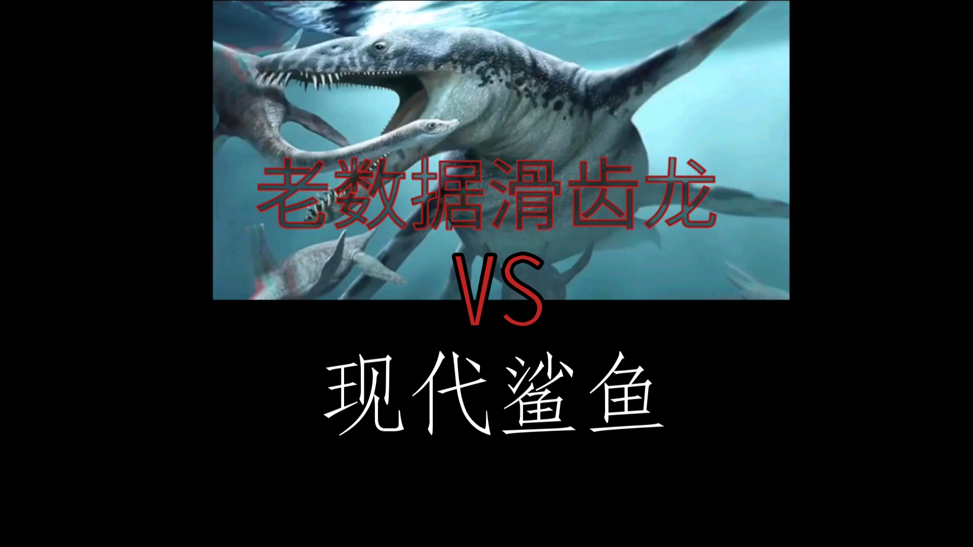 论战:《老数据滑齿龙 VS 现代所有鲨鱼(不包括一些没有伤人记录的,除...