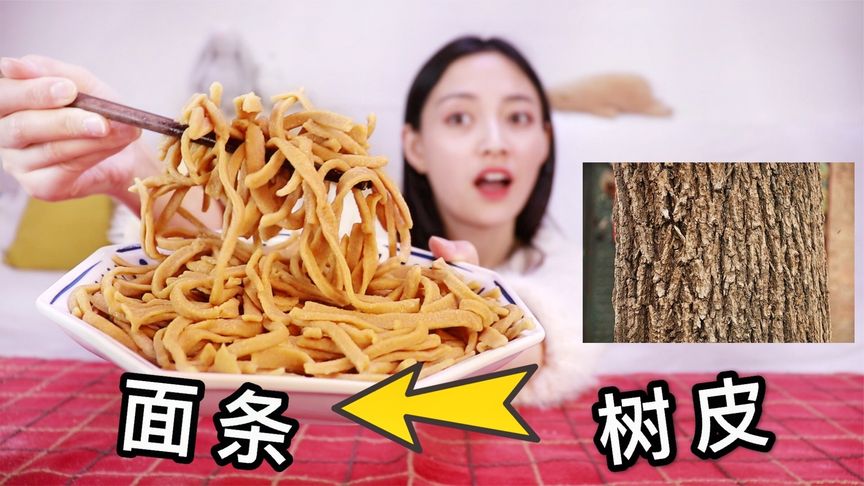 树皮磨粉做成面条会是什么味道?老人口中的“救命树”也能这么吃