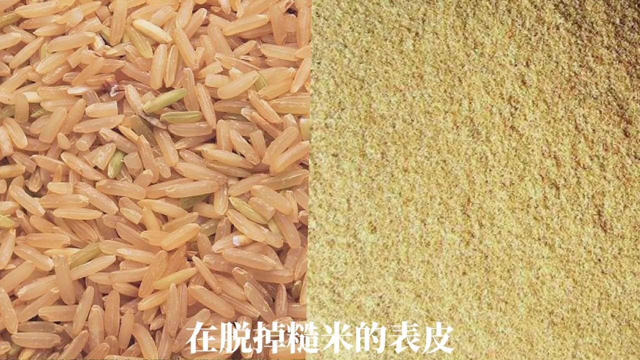 讲给孩子的100种植物--水稻