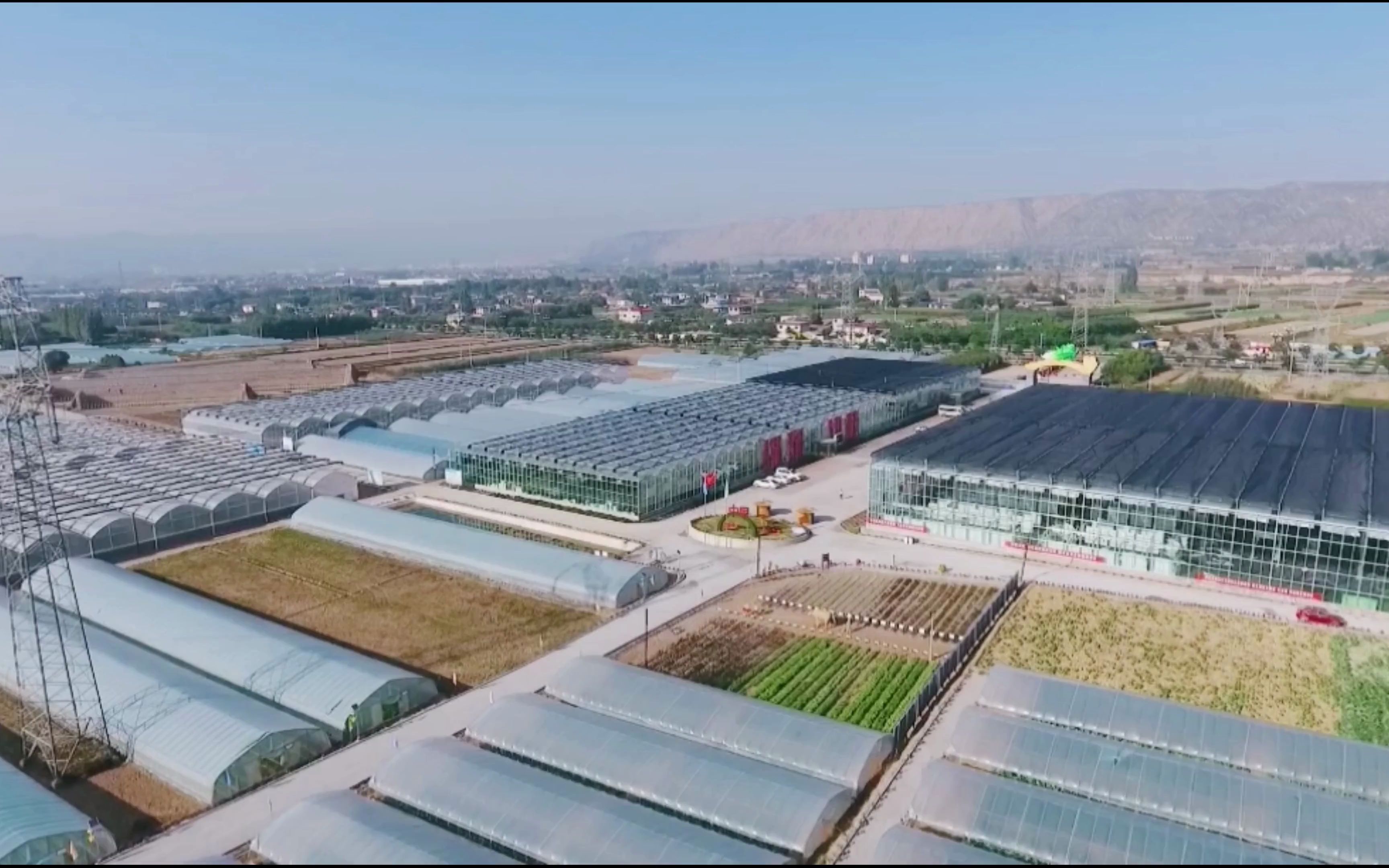 农业高科技种植温室大棚蔬菜种植