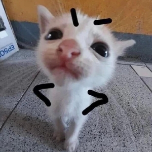 一根大卜萝 