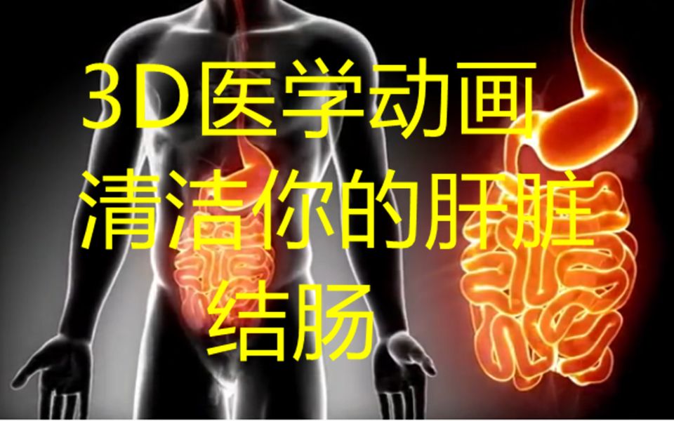 用这种木瓜和胡萝卜排毒汁清洁你的肝脏和结肠-3D动画科普