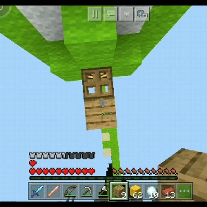 爱玩游戏的小雕 