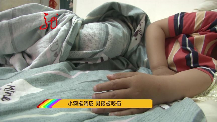 三岁孩子被小狗咬伤 狗主人跟没事人一样 带着狗就走了