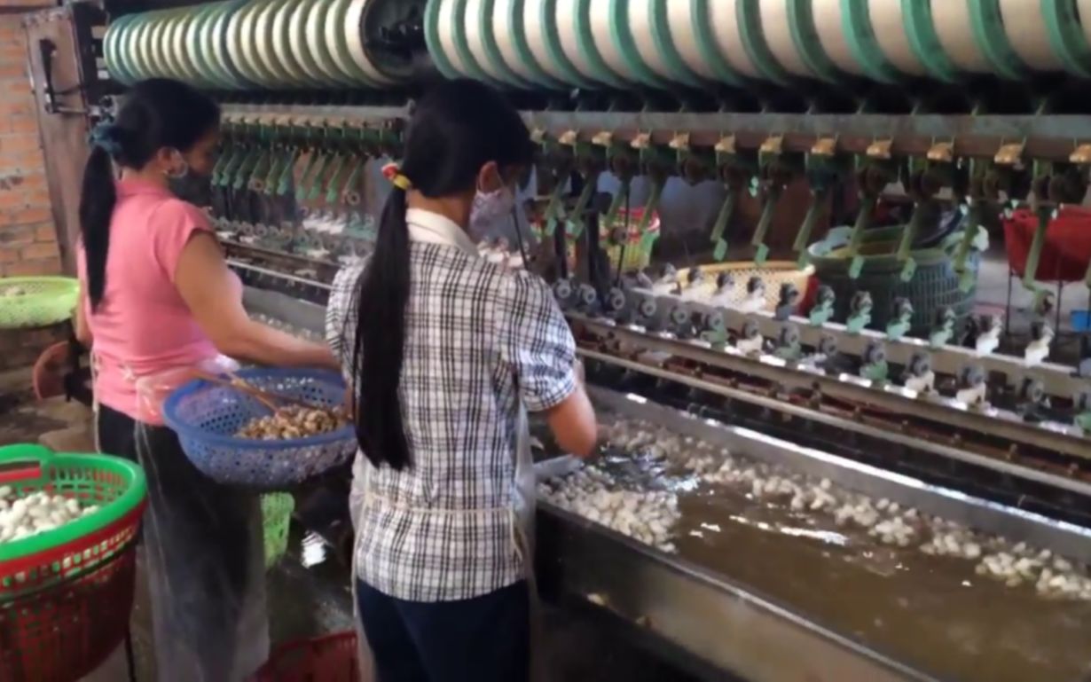 原来越南女孩这样抽蚕丝,你见过吗?我算是长见识了