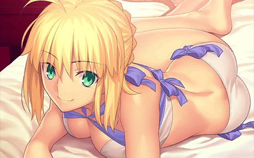 【FGO】至今全英灵满破图鉴+全员宝具动画