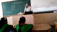 课堂实录 植物妈妈有办法