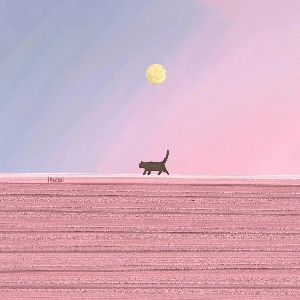 大连开发区百世2325 