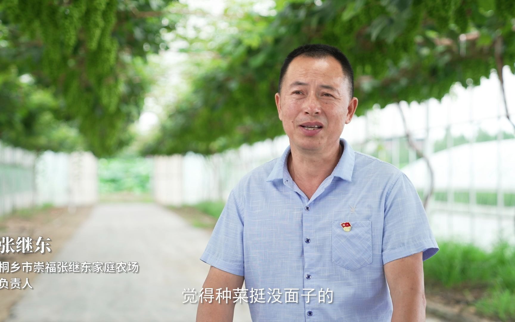 17岁开始种菜,30多年修炼成专家级农民,还被评为了全国劳模!