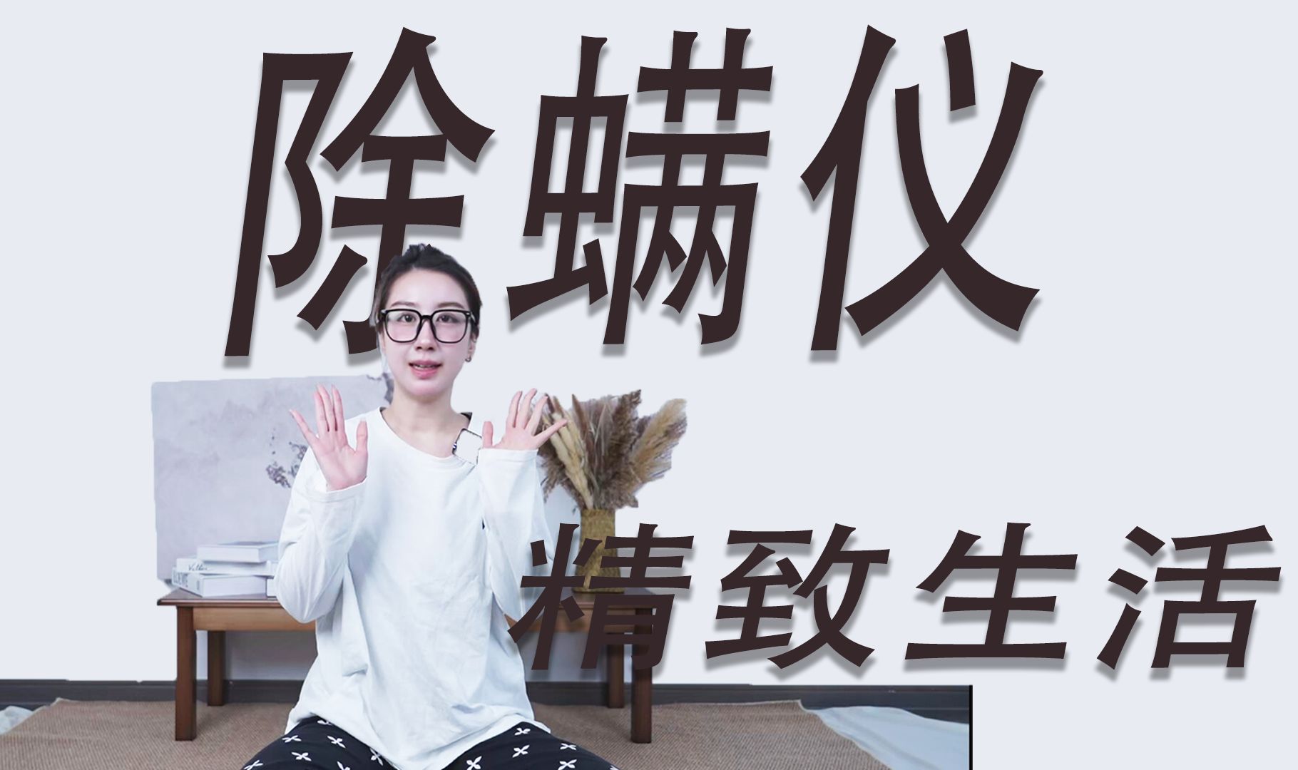 除螨仪！看不见的“螨”世界，看得见的清洁力